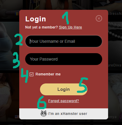 StripChat - Connexion au compte